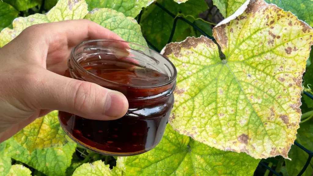 planta seca o muerta: 10 consejos para revivirla – trucos para el hogar