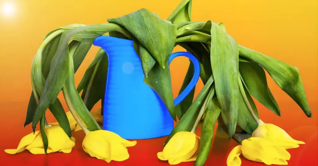 ¿Plantas marchitas? Aquí está el truco de los floristas para revivirlos ...