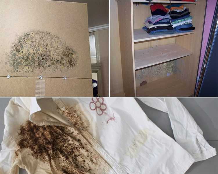 ¿Cómo quitar inmediatamente el olor a humedad de la ropa tendida cuando ...