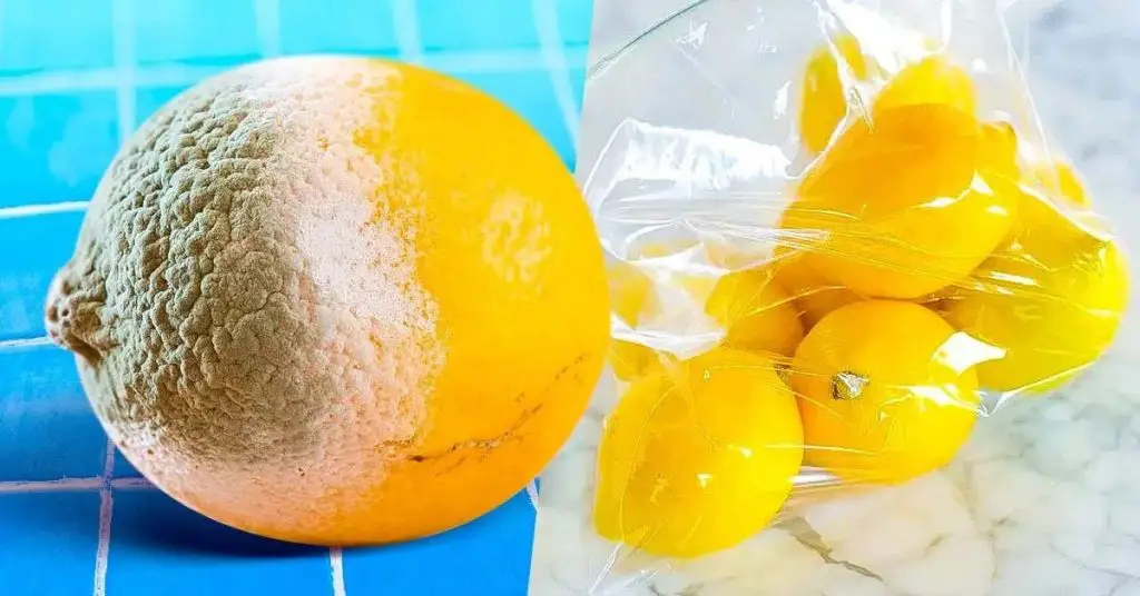El truco para conservar los limones durante 1 año, no se pudren más, no ...